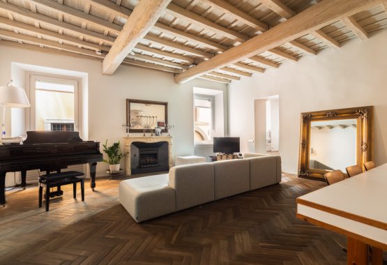 Rome apartments for rent in the city center: Rome Loft