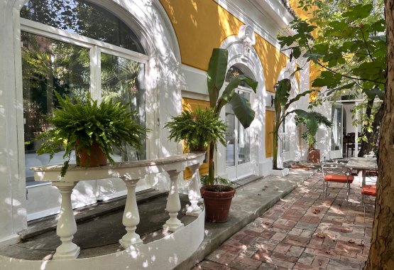 Pinocchio shop in Rome - original wood Souvenir made in Italy